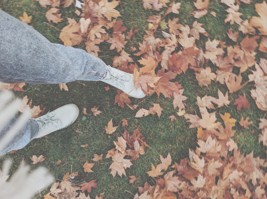 ASK THE STORAGE EXPERTS: HOW TO STORE YOUR STUFF THIS FALL | Modern ...