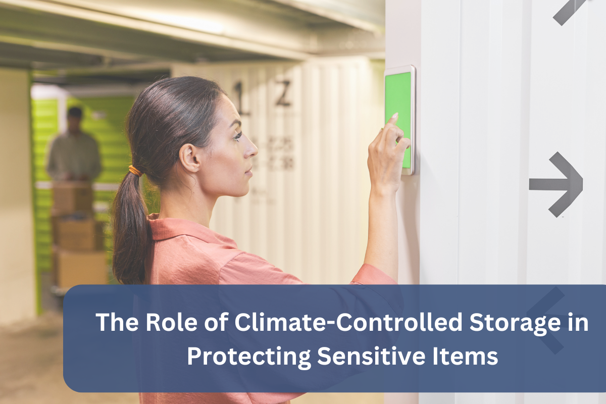 The Role of Climate-Controlled Storage in Protecting Sensitive Items ...